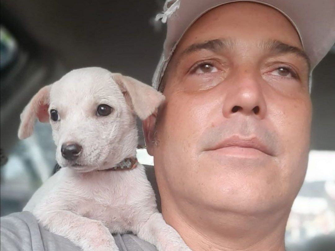 El proyecto Tawala da una oportunidad de vida a los perros de Colombia