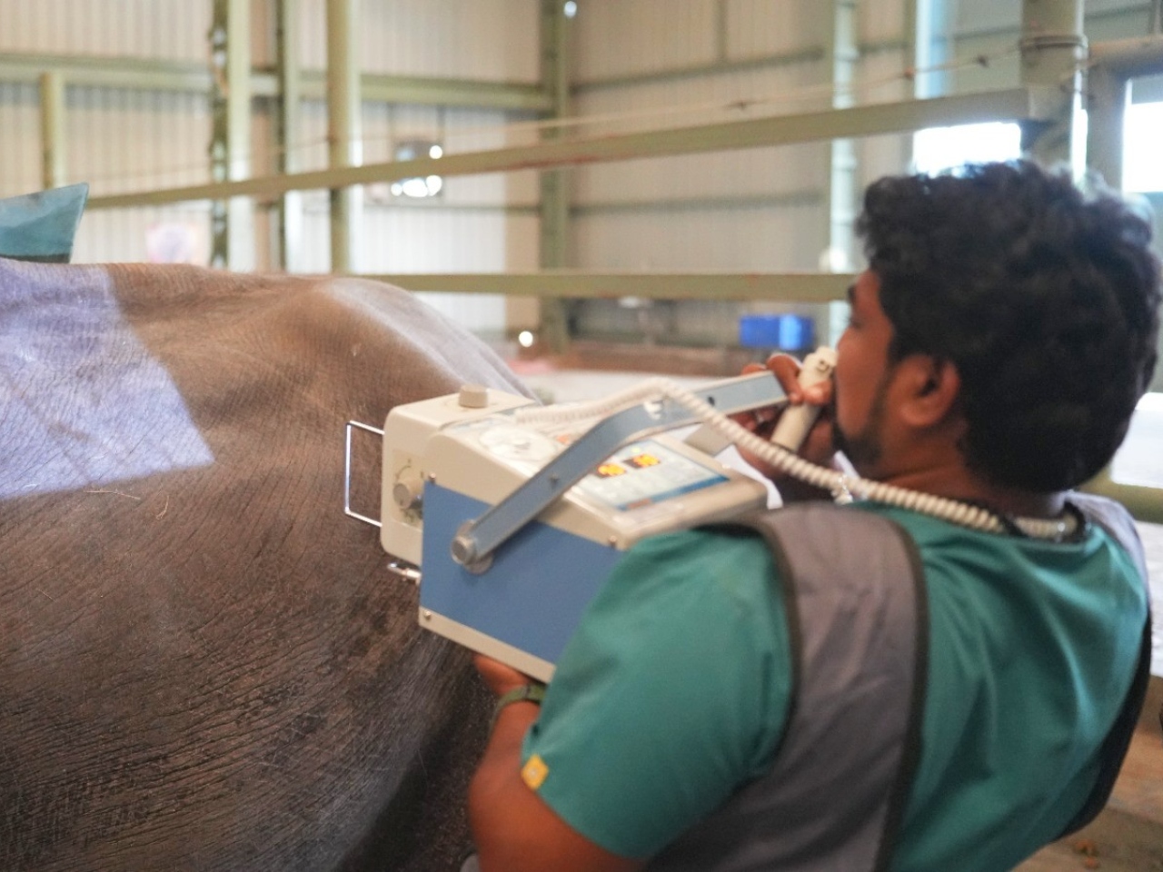 Wildlife activist launches India’s first elephant hospital