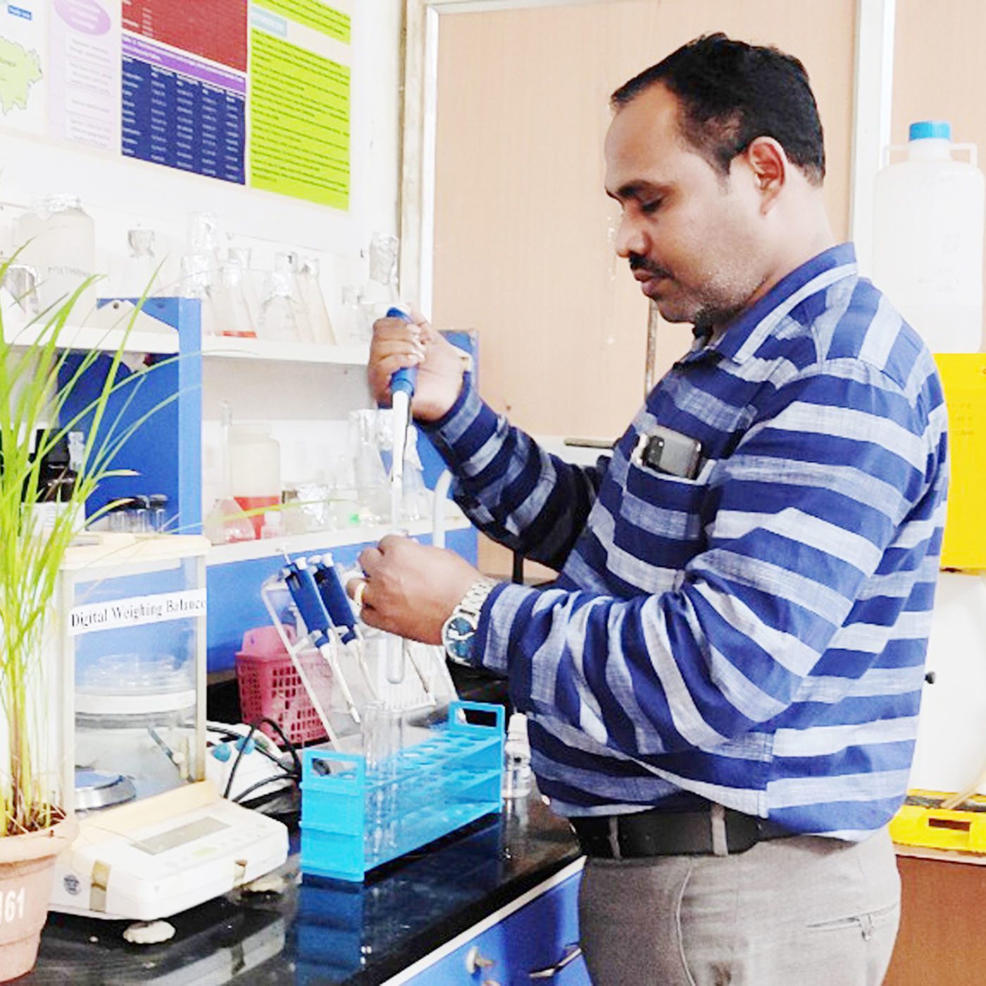 Scientist in India addresses climate change with ancient rice types