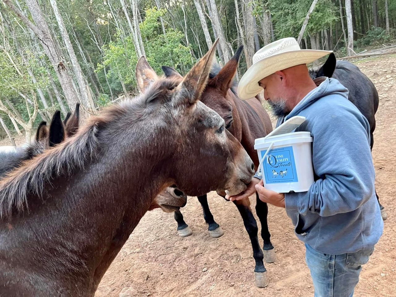 Mountain Mule Packer Ranch supplies Hurricane Helene victims