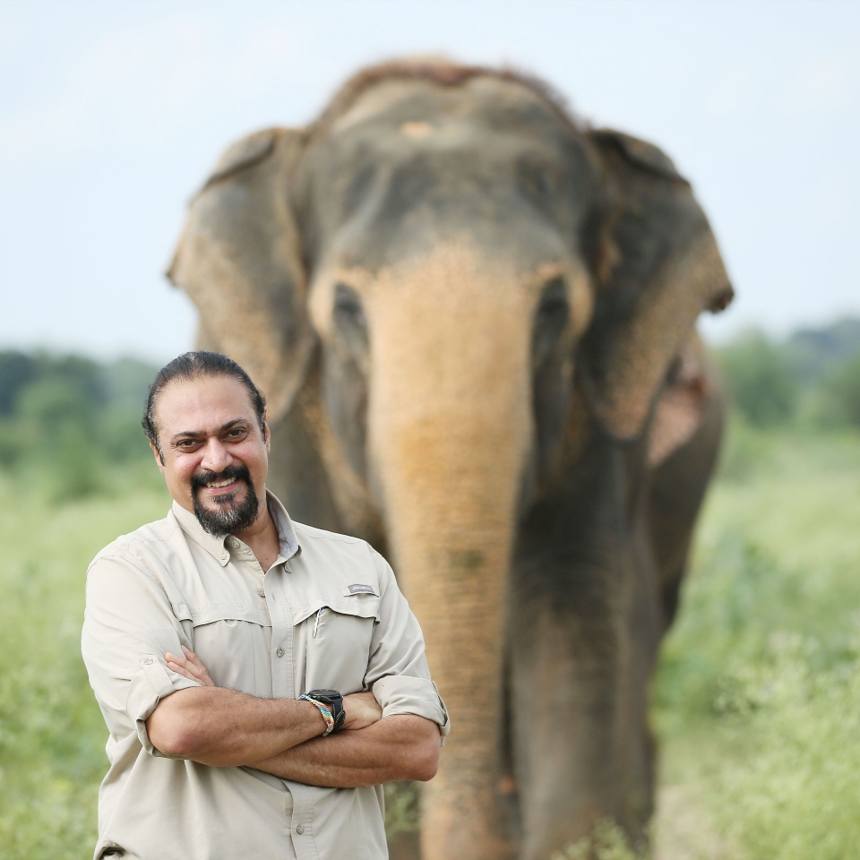 Wildlife activist launches India’s first elephant hospital