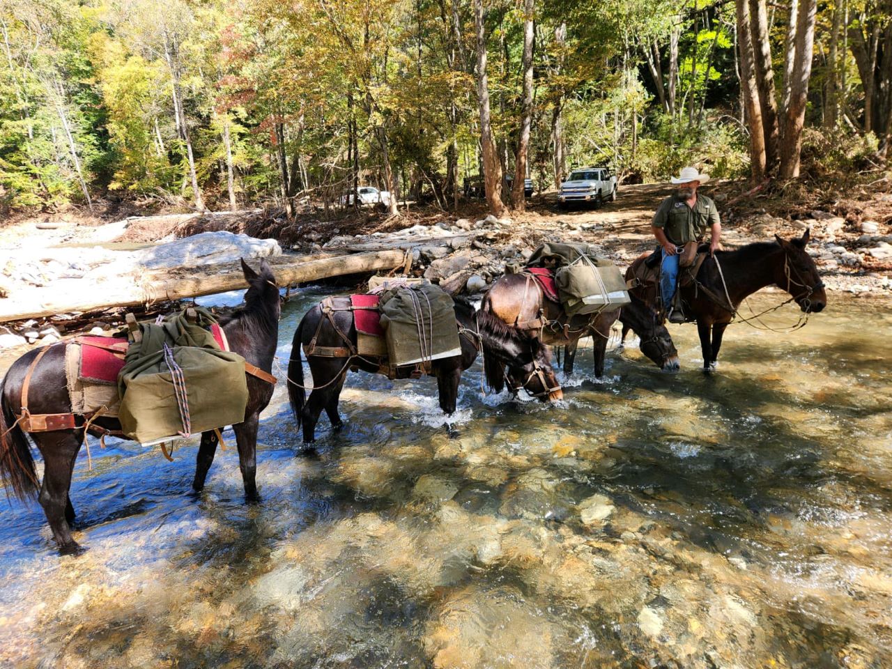 Mountain Mule Packer Ranch supplies Hurricane Helene victims