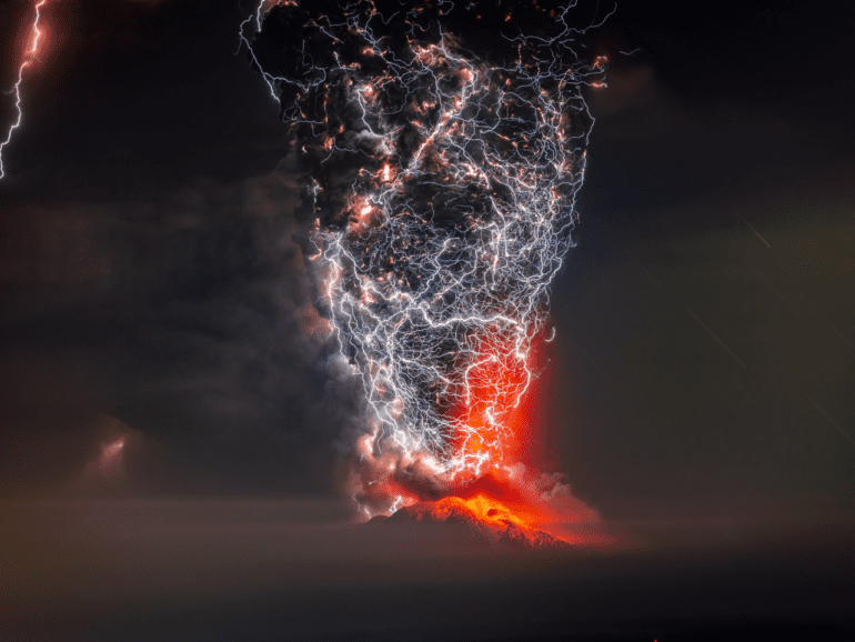 Photographer wins best nature shot at London Photography Awards